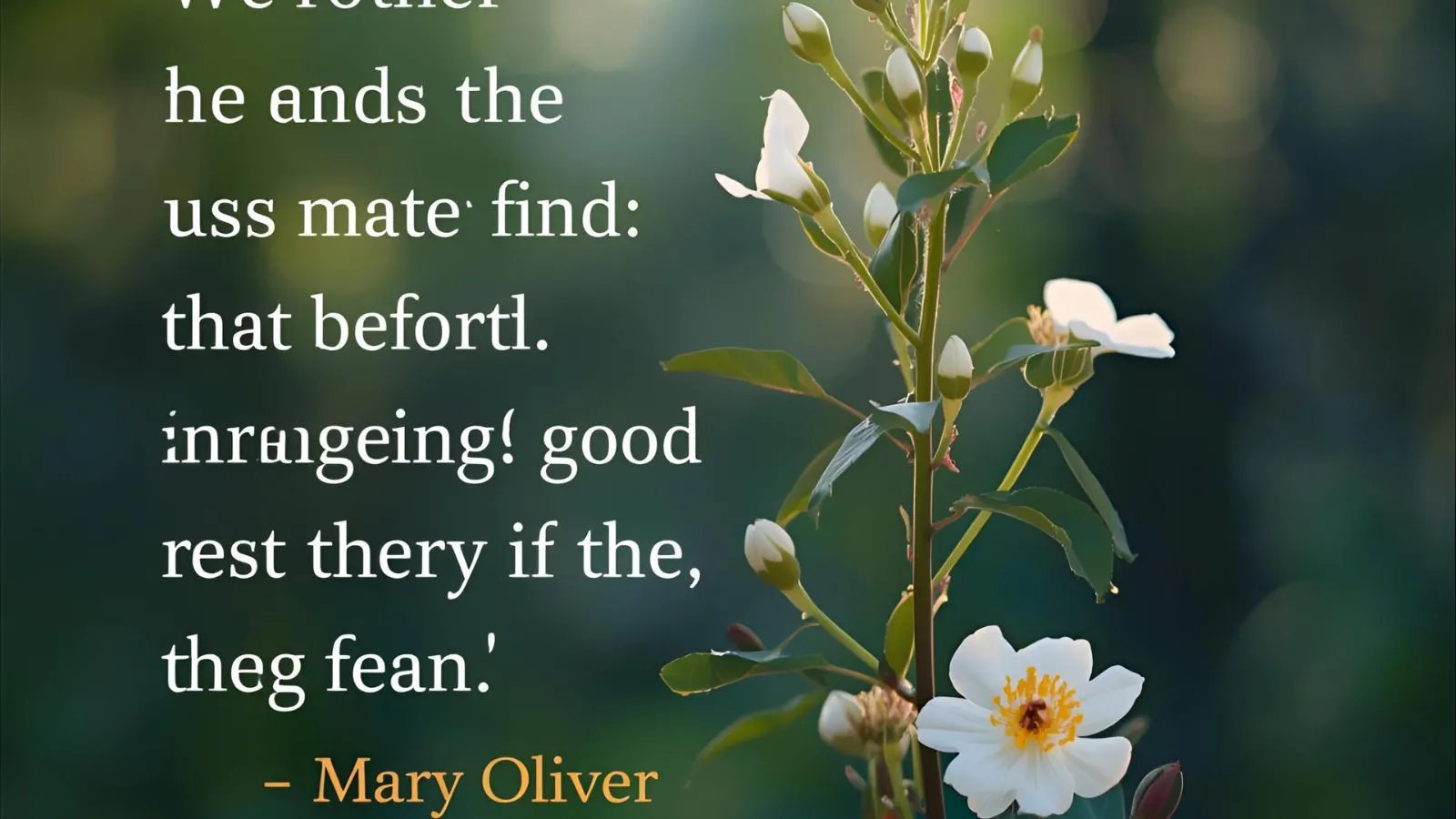 299+🌿 Inspiring Mary Oliver Quotes About Life & Nature